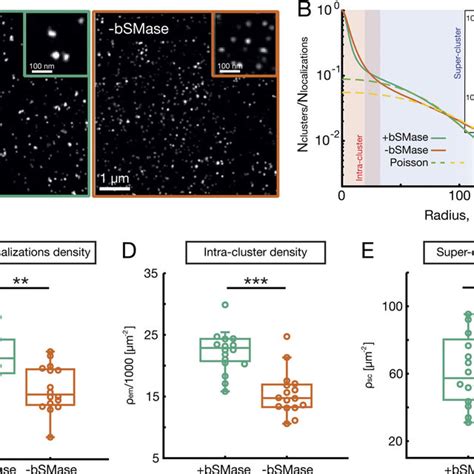 Quantitative Single Molecule Localization Microscopy A A Basic Download Scientific Diagram
