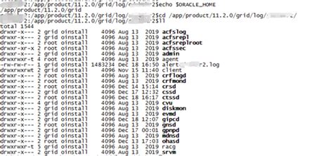 oracle 19c rac 集群日志位置变化 csdn博客