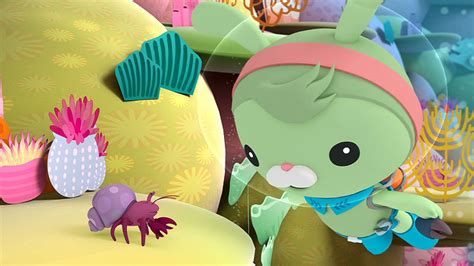 Octonauts Latest Episodes Abc Iview