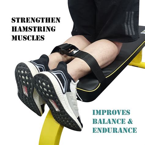 Dumbbell Hamstring Curl