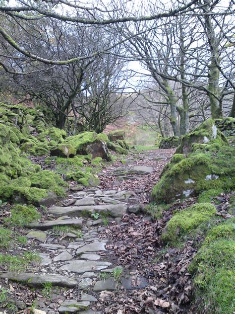 Sunken Road On Slopes Of Cadair Idris Wessex Archaeology Flickr
