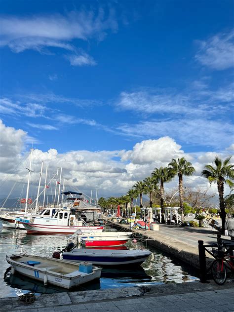 Aleksandr Kuzmenko 摄影