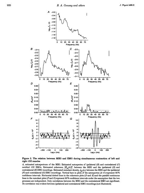 Synchronization Between Motor Cortex And Spinal Motoneuronal Pool