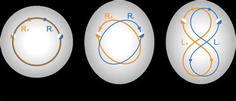 Schematic Zero Noise Orbits Of An Active Particle Halffilled Dots Download Scientific Diagram