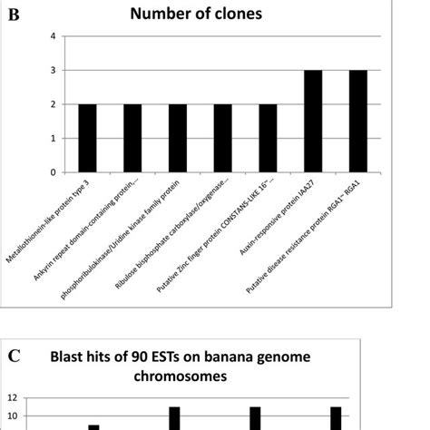 Suppression Subtractive Library Generation Colony Pcr Of Antibiotic Download Scientific