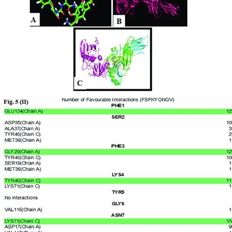 Three Dimensional Representation Of Molecular Docking Analysis Between