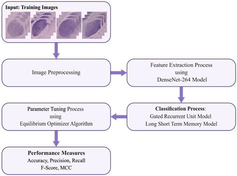 Healthcare Free Full Text Equilibrium Optimization Algorithm With Ensemble Learning Based