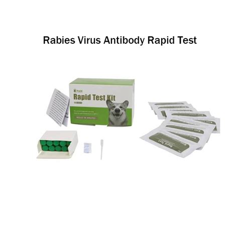 Rabies Virus Antibody Rapid Test Rabies Disease Rabies Vaccine Test Diagnostic And Rapid Test
