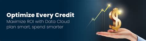 Salesforce Data Cloud Credit Consumption Optimization Guide Etg Digital