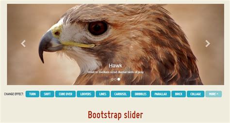 Bootstrap Slider Working