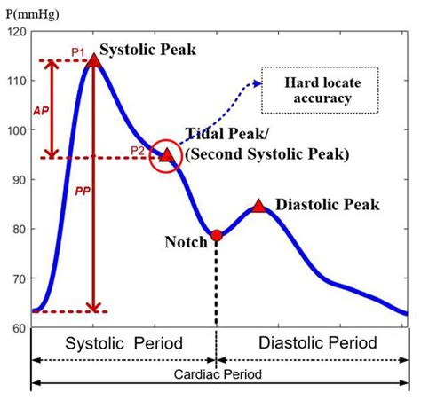 Pulse Wave Analysis Method Of Cardiovascular Parameters Extraction For