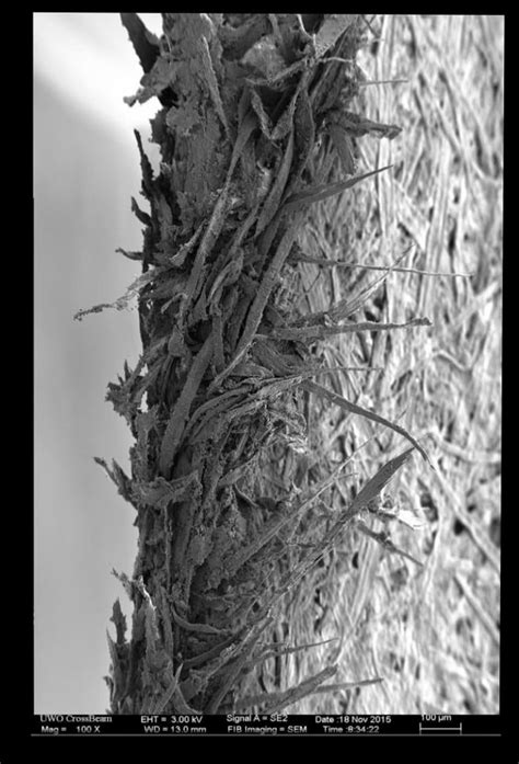Paper Under Electron Microscope At Leo Brodbeck Blog