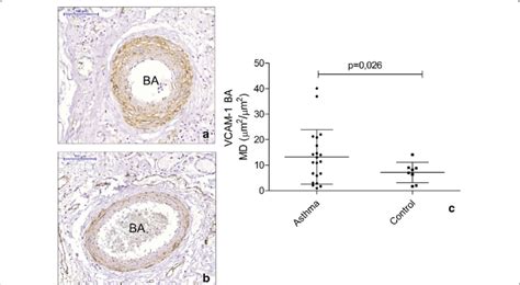 Figure Depicts The Expression Of Vascular Cell Adhesion Molecule 1 Download Scientific Diagram