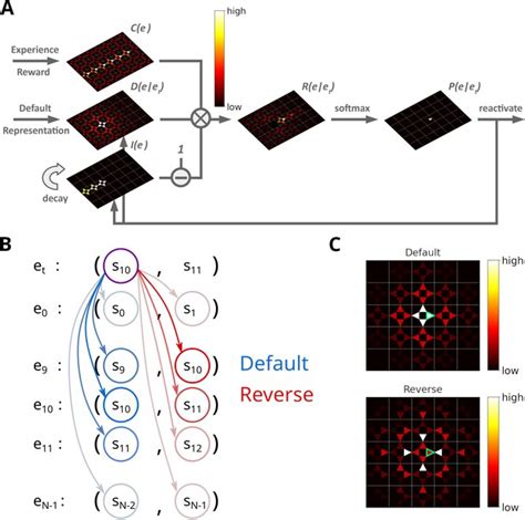 A Model Of Hippocampal Replay Driven By Experience And Environmental