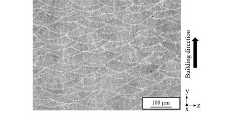 Microstructure Of Cross Section Of As Built Specimen Download Scientific Diagram