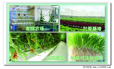 箱式无土栽培牧草箱式无土栽培牧草厂家水培玉米苗饲料大山谷图库
