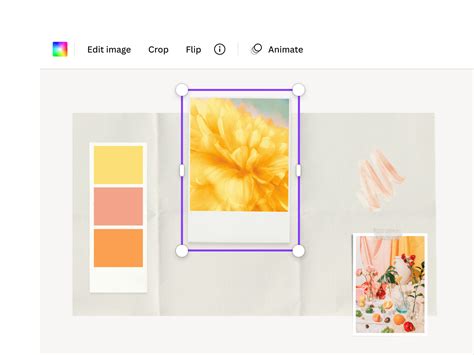 Crea imágenes transparentes con Canva Pro Canva
