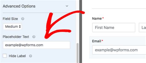 How To Add Placeholder Text To A Form Field