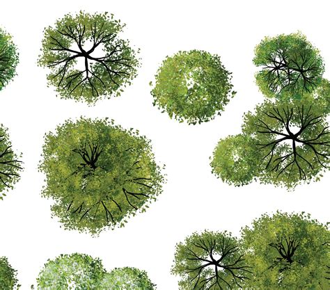 State Of The Canopy A Report Into Tree Canopy Cover Across Hobart By
