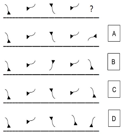 Pattern Analysis Mock Test