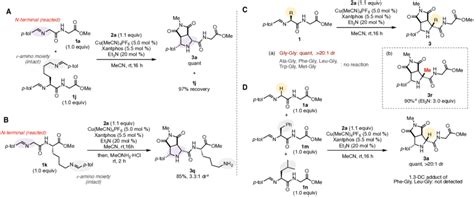 A B N Terminal Selectivity Of The 32 Cycloaddition C