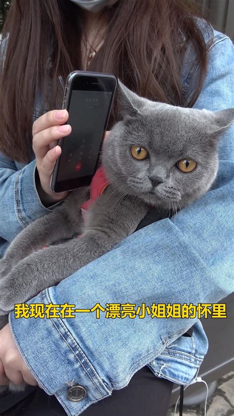 你见过最见色忘义的行为是什么 知乎