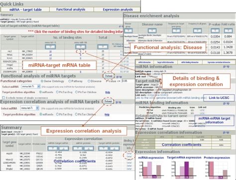 Sample Output Picture From The Targetfunctionexpression Module Download Scientific Diagram