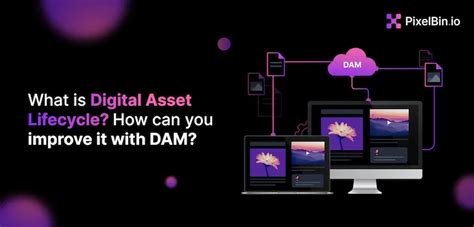How To Optimize Your Digital Asset Lifecycle With Dam