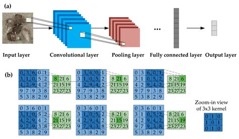 Example Illustrations Of A A Convolutional Neural Network And B A