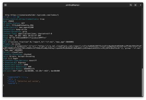 Ad Hoc Using And Testing Apis