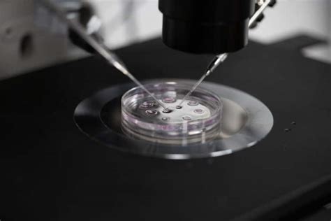 Detecting RNA Modifications Gurdon Institute