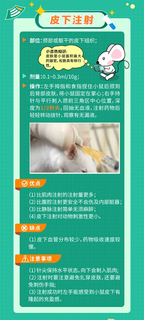 如何准确的完成小鼠皮下和皮内注射？ 知乎