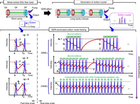 Ghz 光纤激光器中的动态增益驱动锁模 Light Science And Applications X Mol