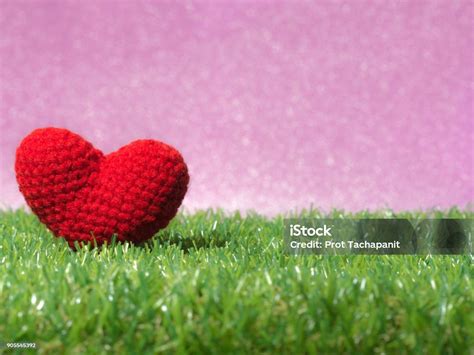 녹색 잔디 배경에 붉은 사 수 제 마음은 로얄 핑크 텍스트 발렌타인 사랑 개념에 대 한 공간을 복사 하 고 사랑 하는 배경 0명에 대한 스톡 사진 및 기타 이미지 Istock