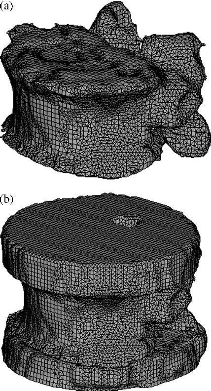 figure 3 from development of specimen specific finite element models of human vertebrae for the