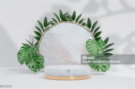 화장품 디스플레이 제품 스탠드 흰색 배경에 녹색 잎 공장투명 대리석 흰색 실린더 연단 3d 렌더링 그림 0명에 대한 스톡 사진 및 기타 이미지 Istock