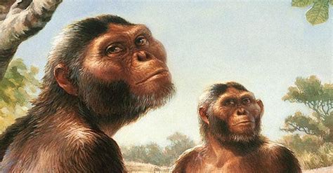 Did Australopithecus Afarensis Run Like Modern Humans New Insights