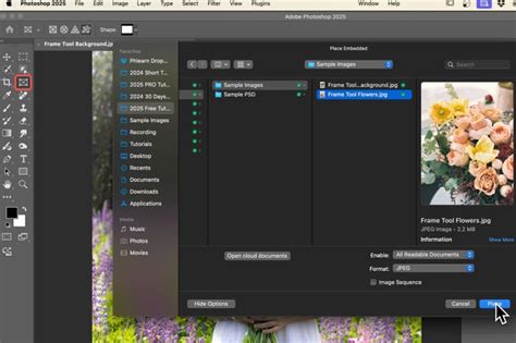 Photoshop 2025 Exploring The New Frame Tool Phlearn