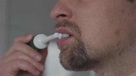 Brushing Teeth Animation Stock Video Footage For Free Download