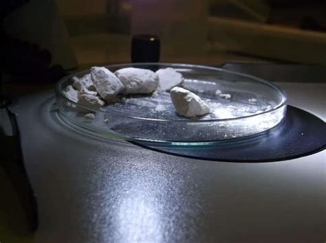 Acorns New Asbestos Testing Laboratory