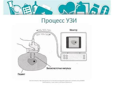 Ультразвуковая диагностика Особенности и физические основы Биофизика презентация онлайн