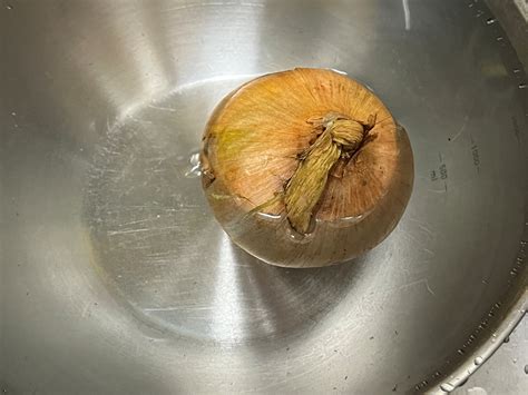 양파 ‘이렇게 자르지 마세요 의외로 잘 모르는 양파 손질법