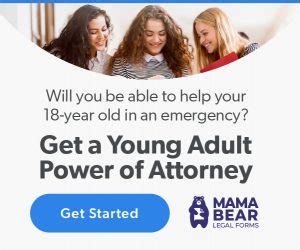 Mama Bear Legal Forms Easy And Fast