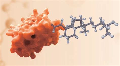 Chemoproteomic Profiling Of Protein Targets For Noncovalent Small