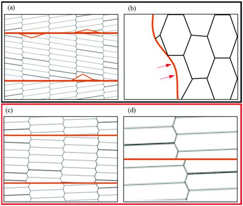 Schematic Diagram Of Grain Growth A B Discontinuous Download Scientific Diagram