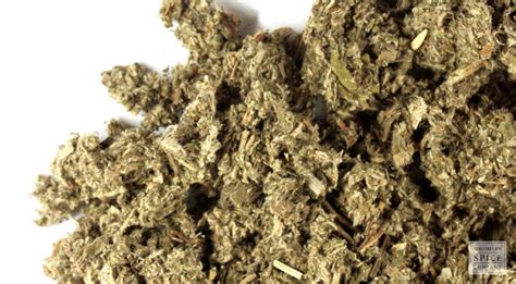 Mugwort Herb Medicine Man Crafts