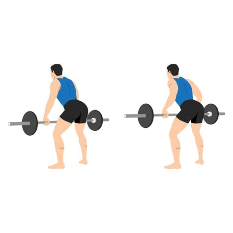 Barbell Bent Over Rows