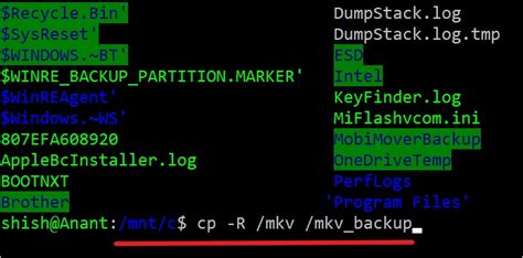 Copy Directories On Linux