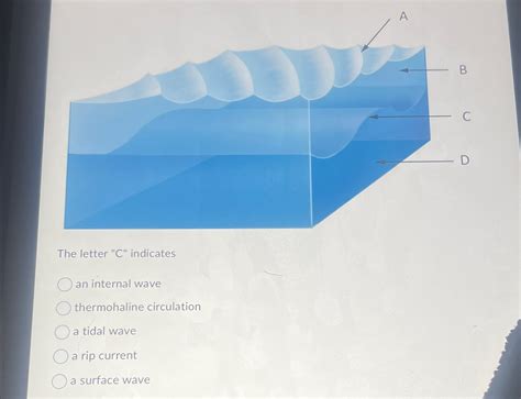Solved The Letter C Indicatesan Internal Chegg Com