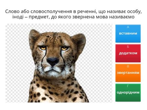 Узагальнення з теми «Однорідні члени речення Звертання Вставні слова Вікторина